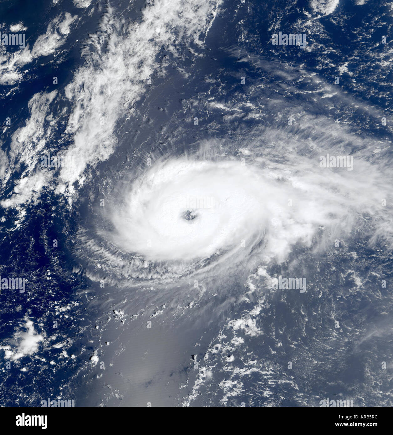 2006 gordon hi-res stock photography and images - Alamy