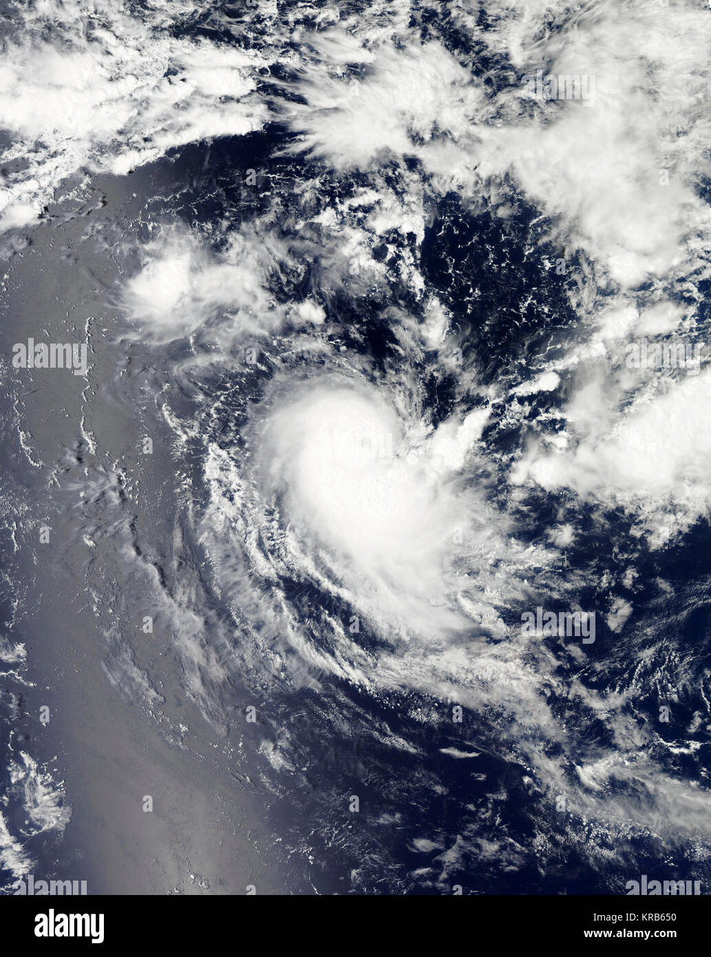 Boldwin hi-res stock photography and images - Alamy