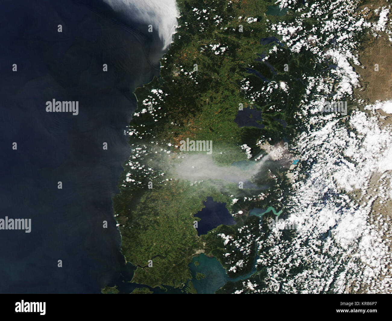 Wind blown ash hi-res stock photography and images - Alamy