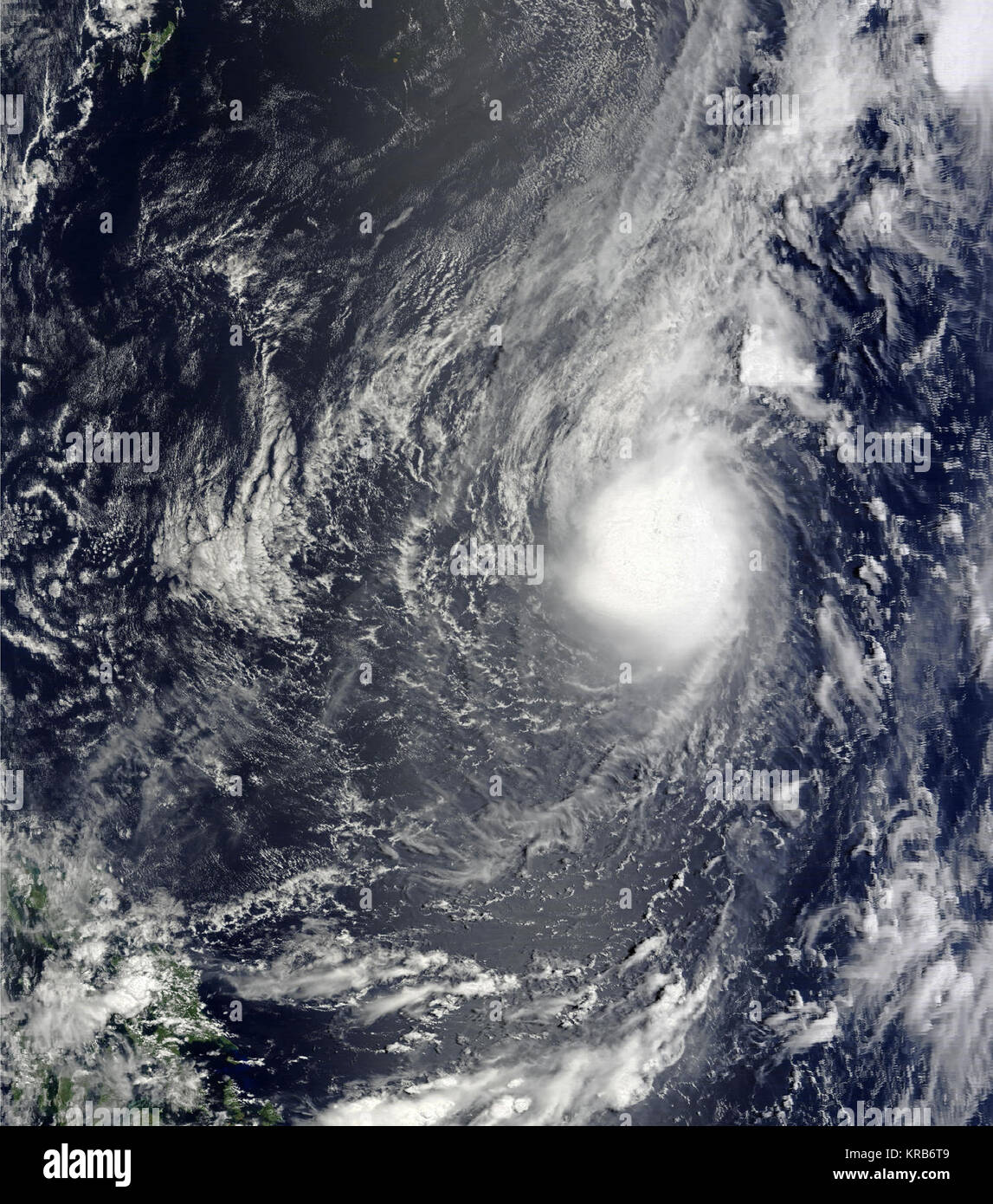 Kujira hi-res stock photography and images - Alamy