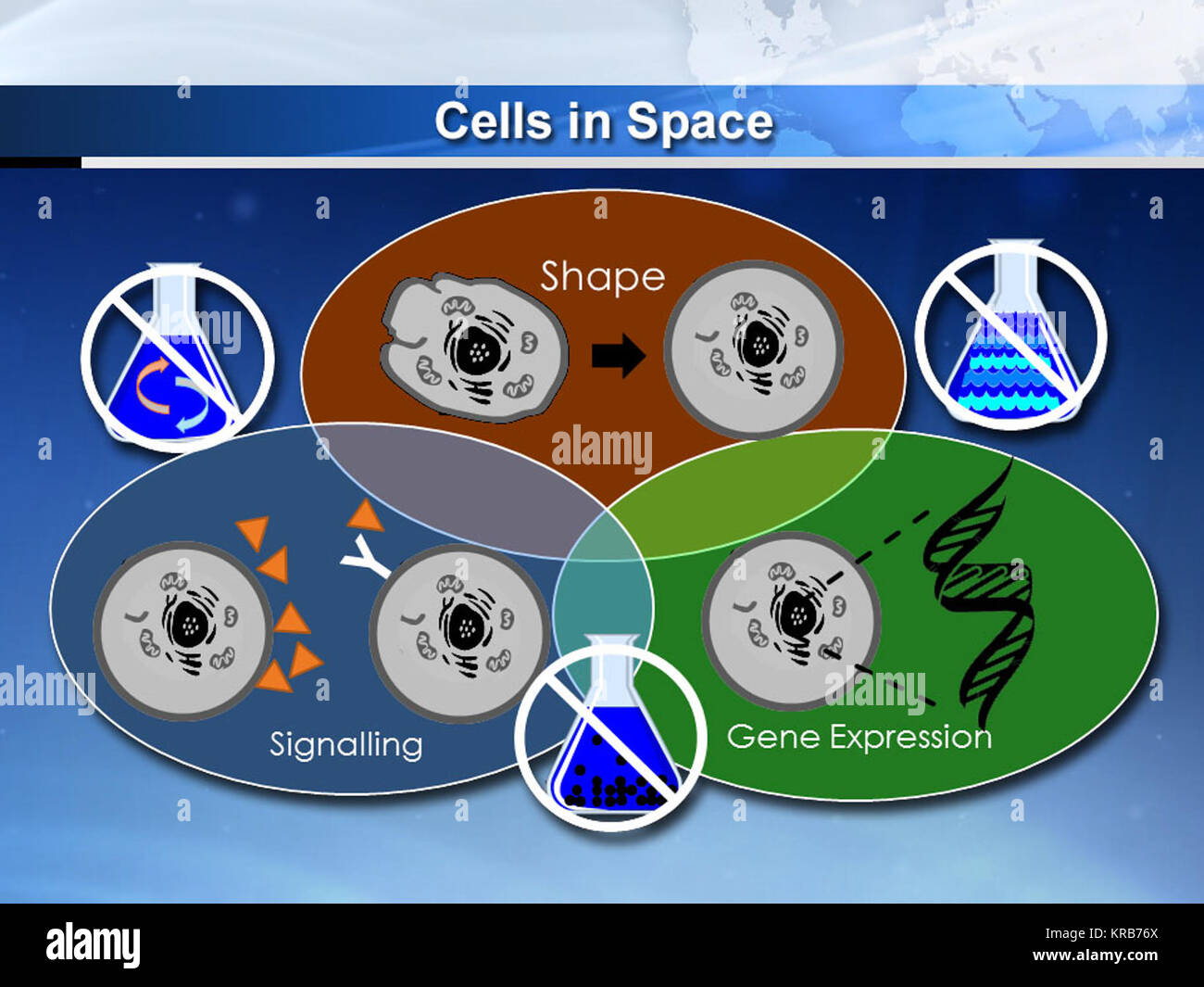 Cells in Space Stock Photo - Alamy