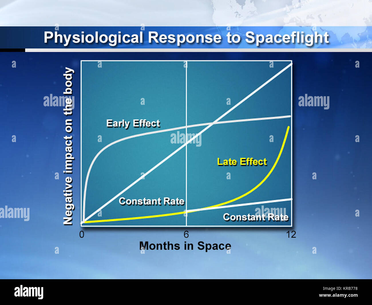 Physiological Response to Spaceflight - Graphics Stock Photo - Alamy
