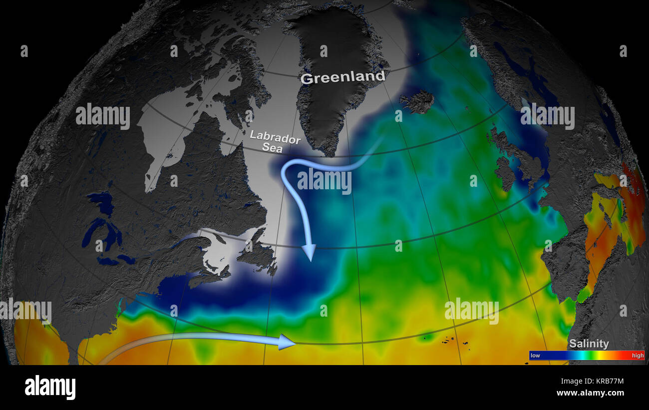 The first year of surface salinity measurements from NASA's Aquarius ...