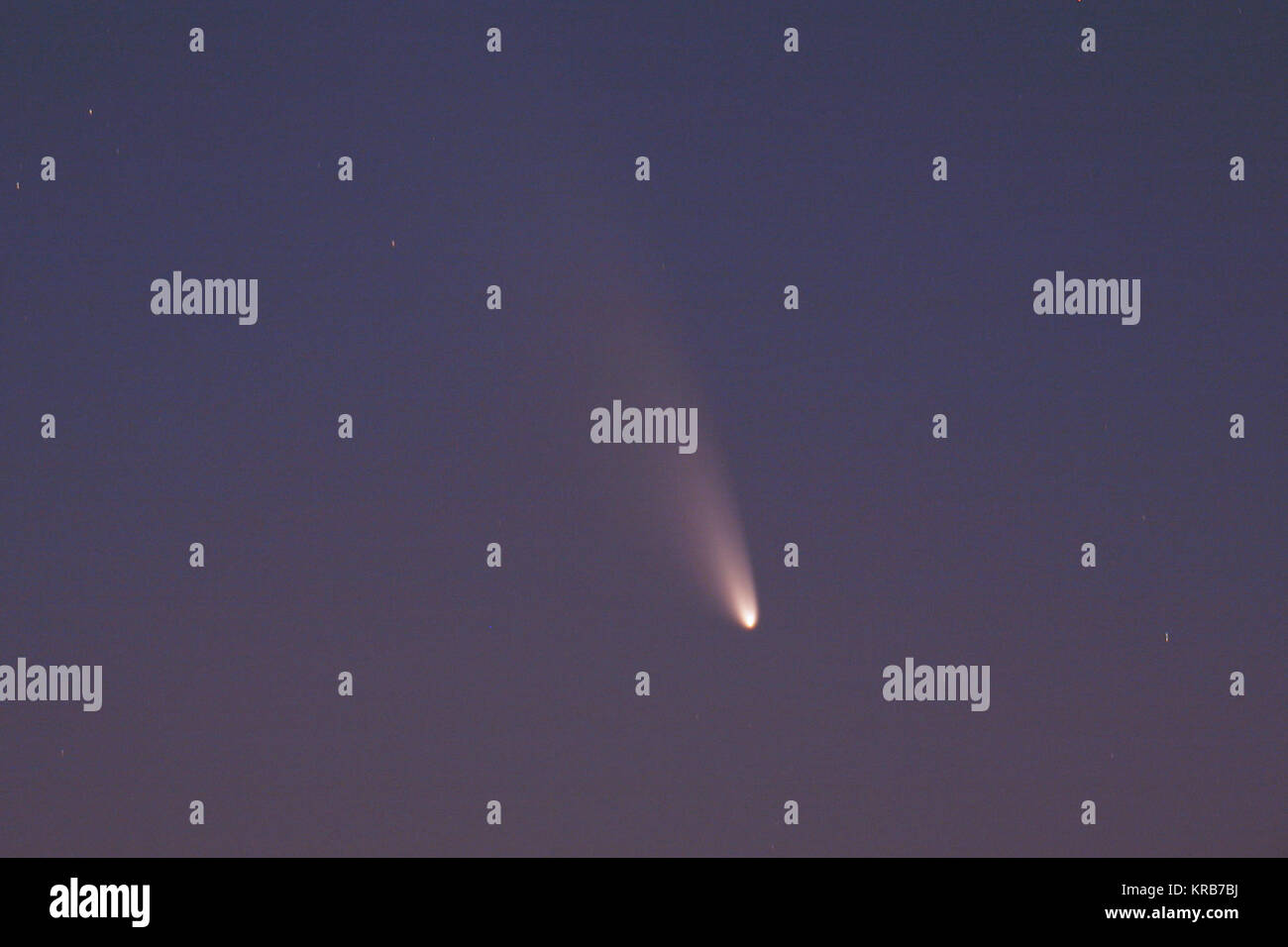 Pan starrs hi-res stock photography and images - Alamy