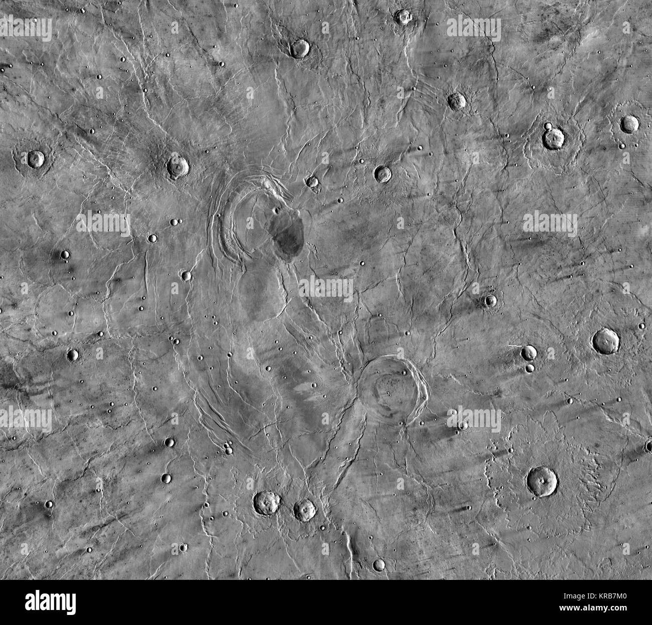 Paterae hi-res stock photography and images - Alamy