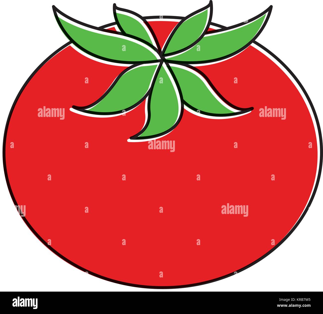 fresh tomato isolated icon Stock Vector Image & Art - Alamy