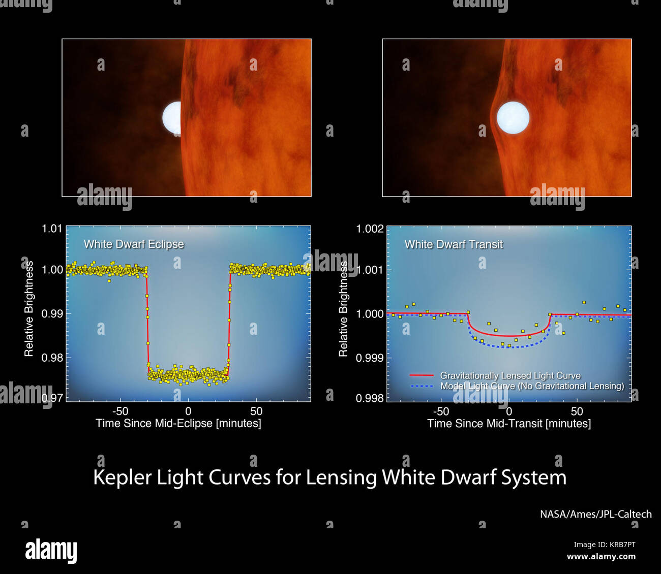 White Dwarfs - Small and Strong Stock Photo - Alamy