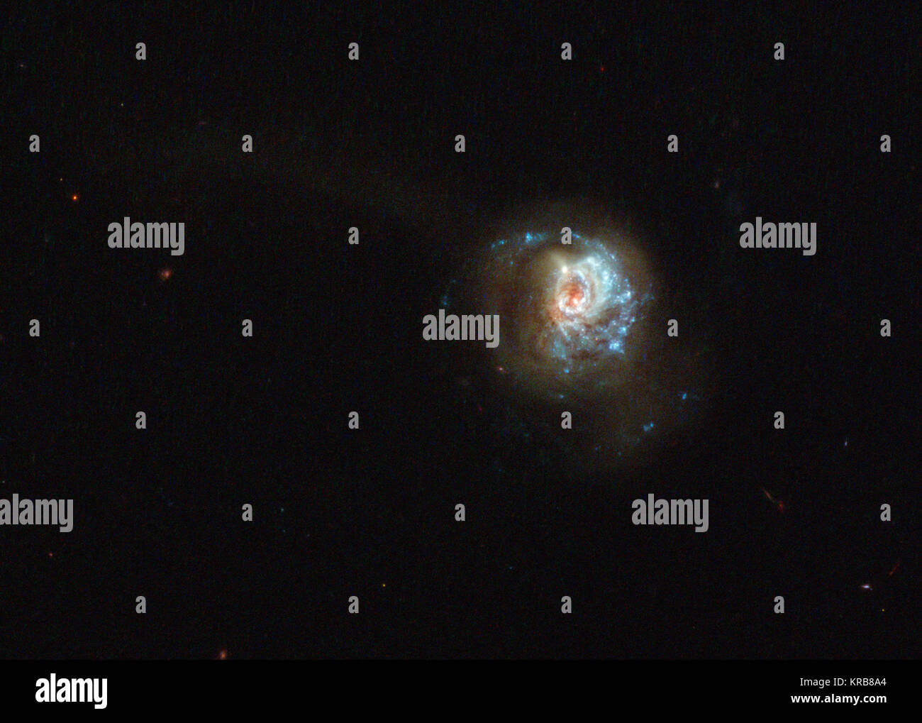 50 stars hi-res stock photography and images - Alamy