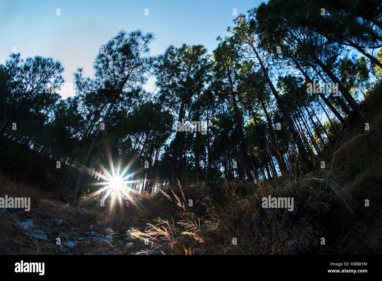 Kotdwar uttarakhand hi-res stock photography and images - Alamy