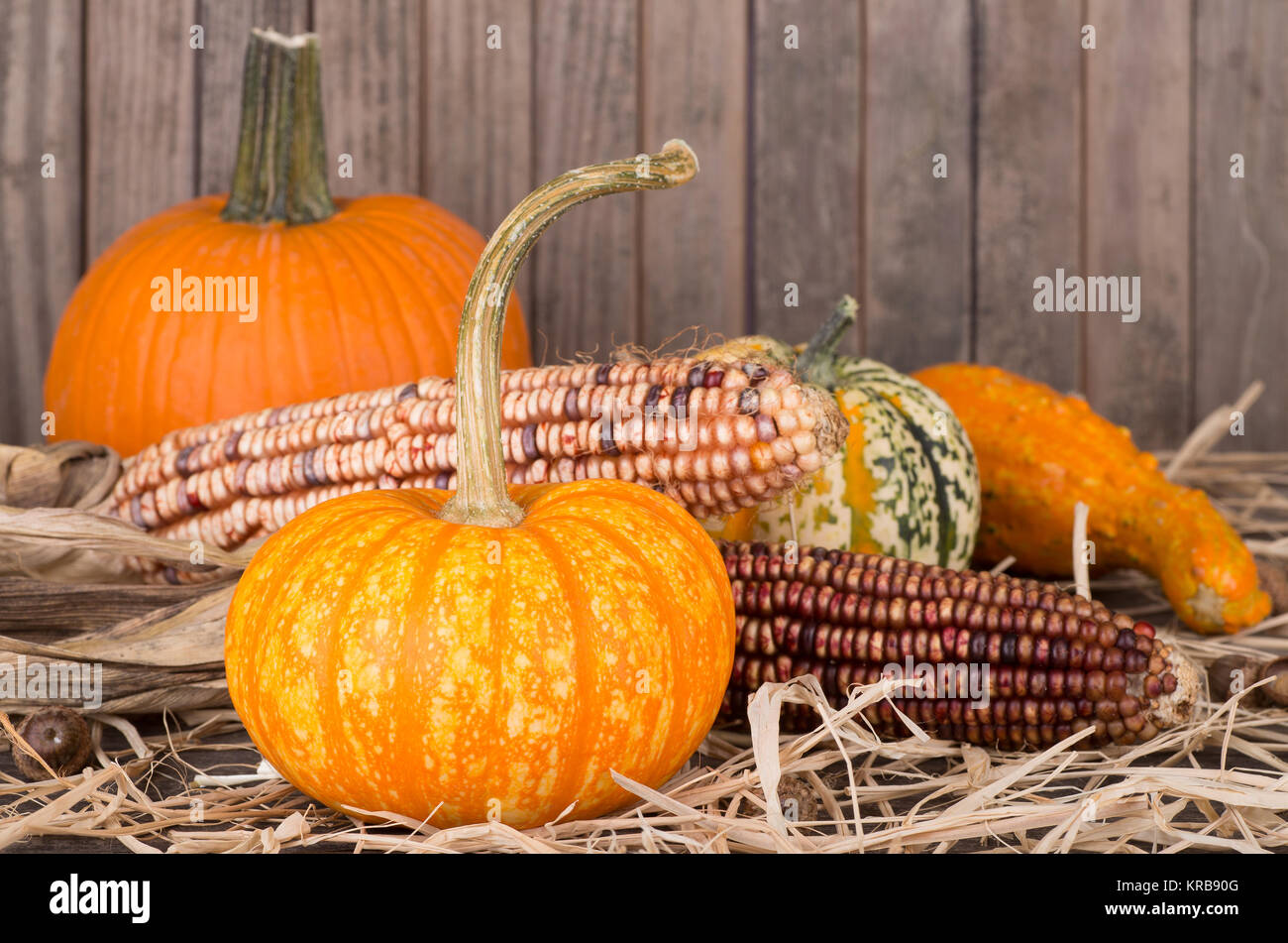 Colorful gourds and corn on straw with a wood background Stock Photo ...