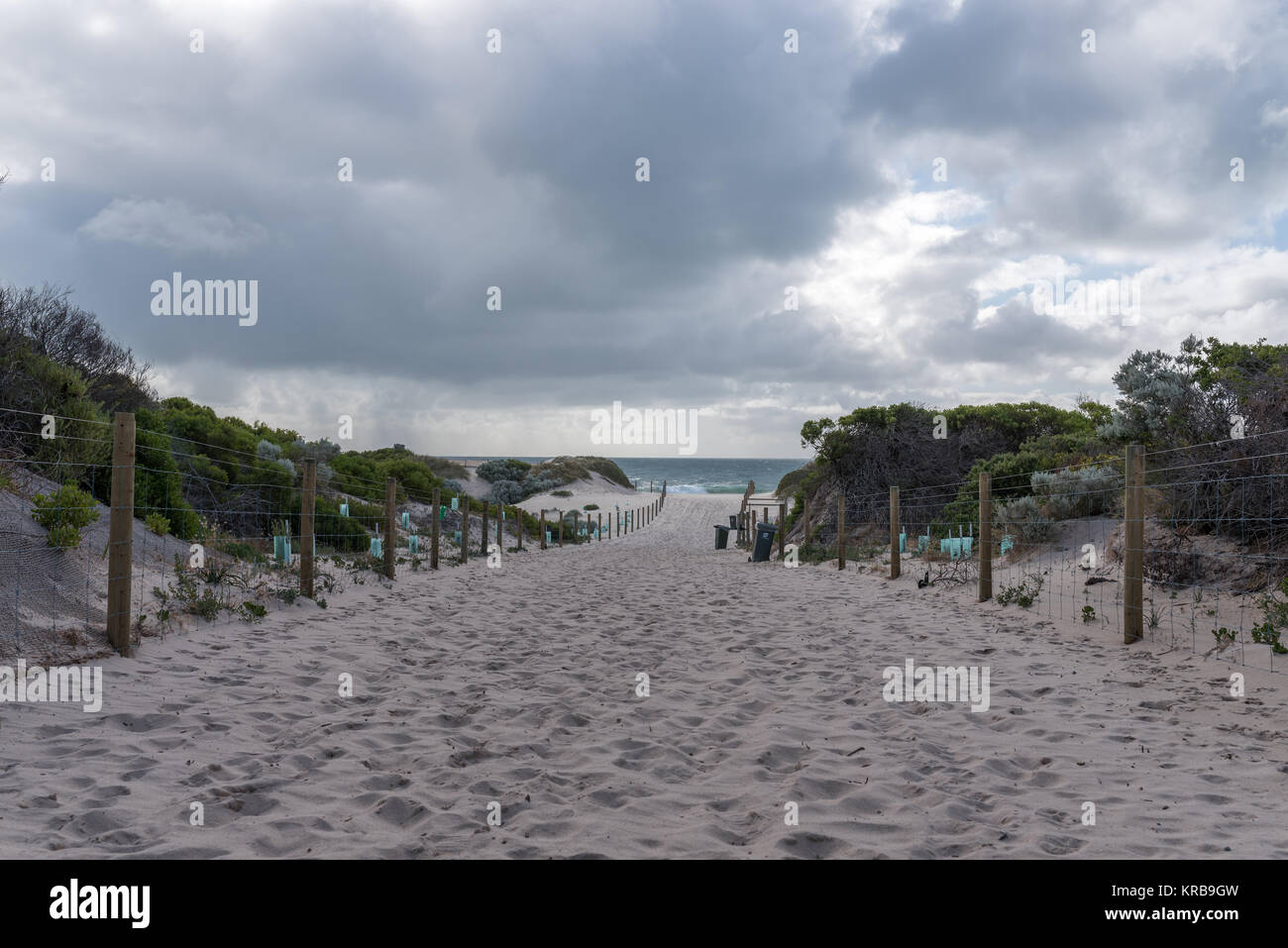 Perth dog beach hi-res stock photography and images - Alamy