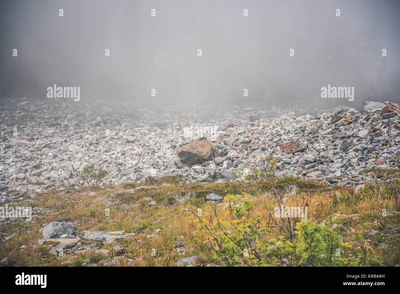 Deep fog in the bottom of the mountain Stock Photo - Alamy