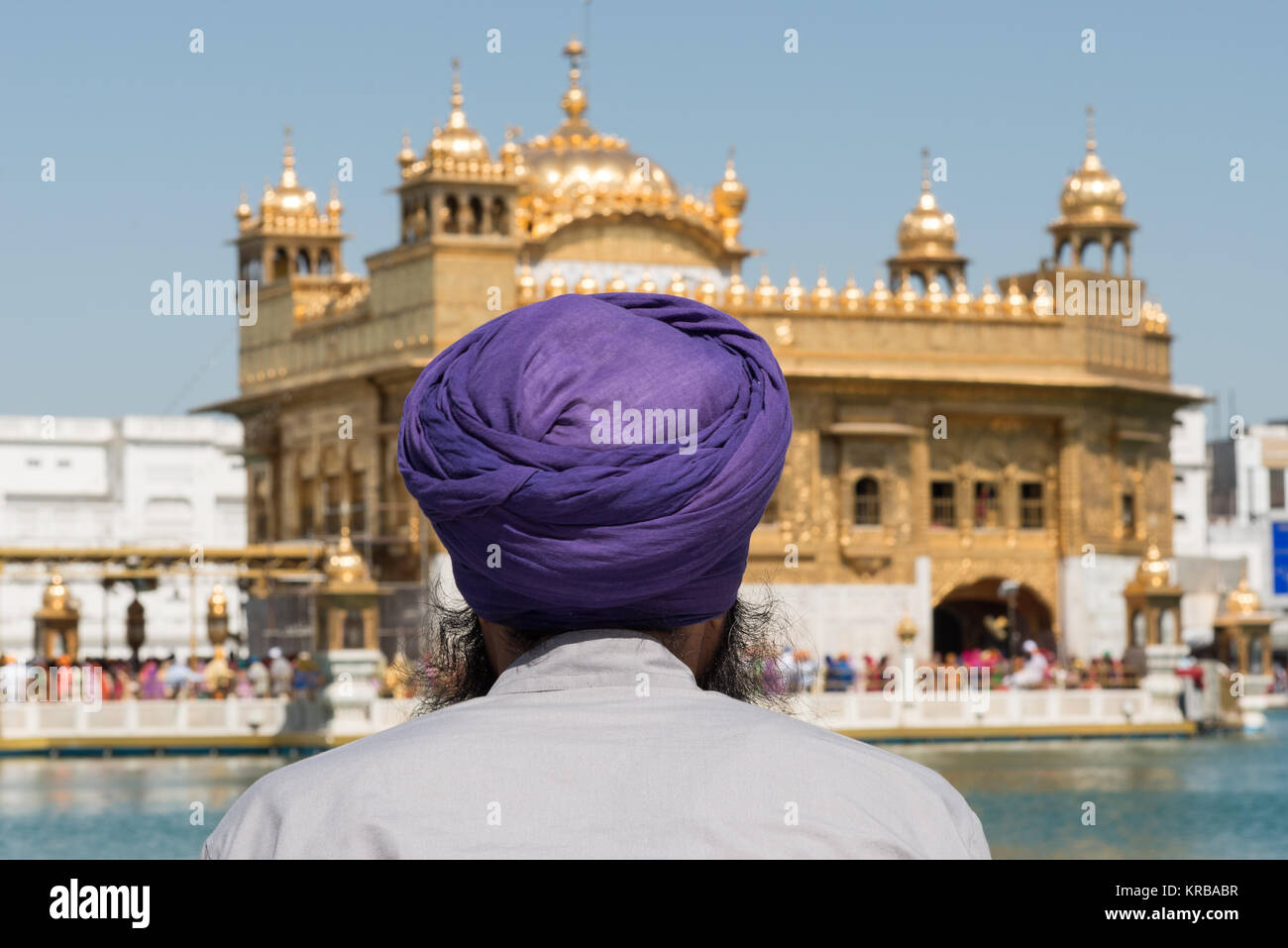 Horizontal picture of Sikh man wearing traditional purple turban at Sri ...