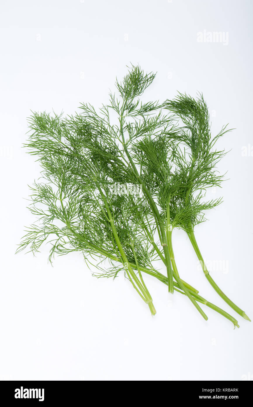 Green dill isolated on white background Stock Photo - Alamy
