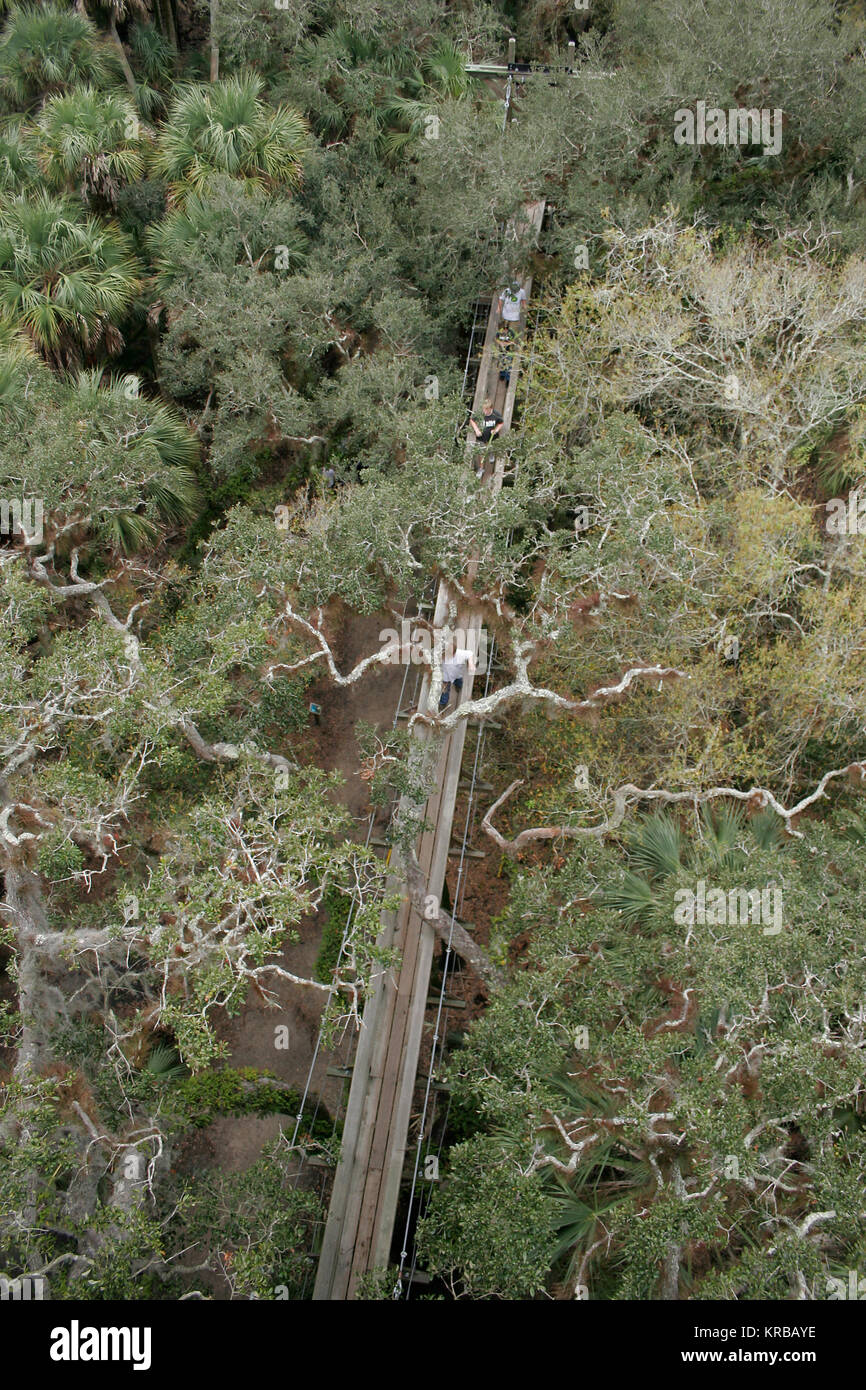 Myakka river state park canopy hi-res stock photography and images - Alamy