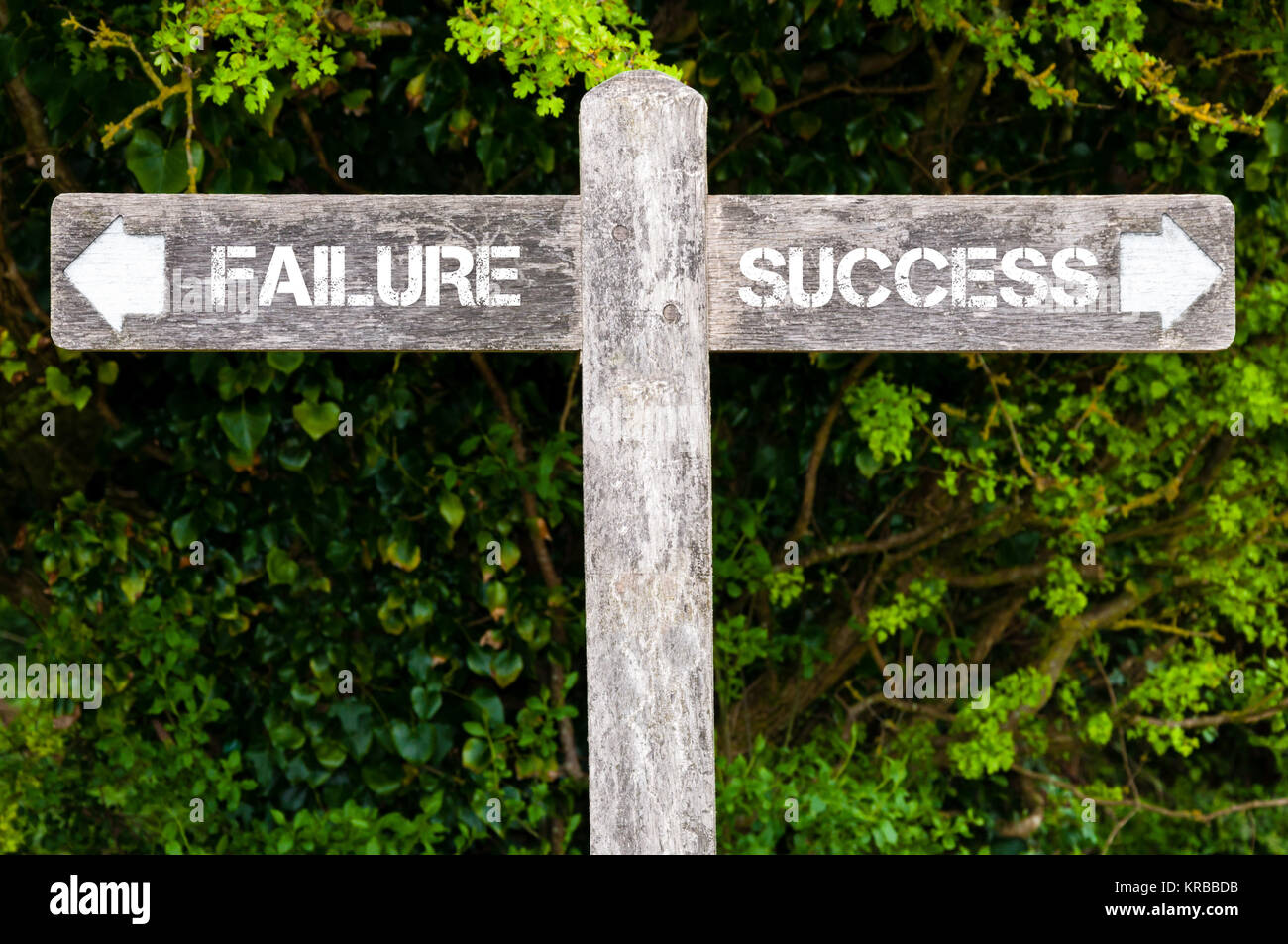 FAILURE versus SUCCESS directional signs Stock Photo - Alamy