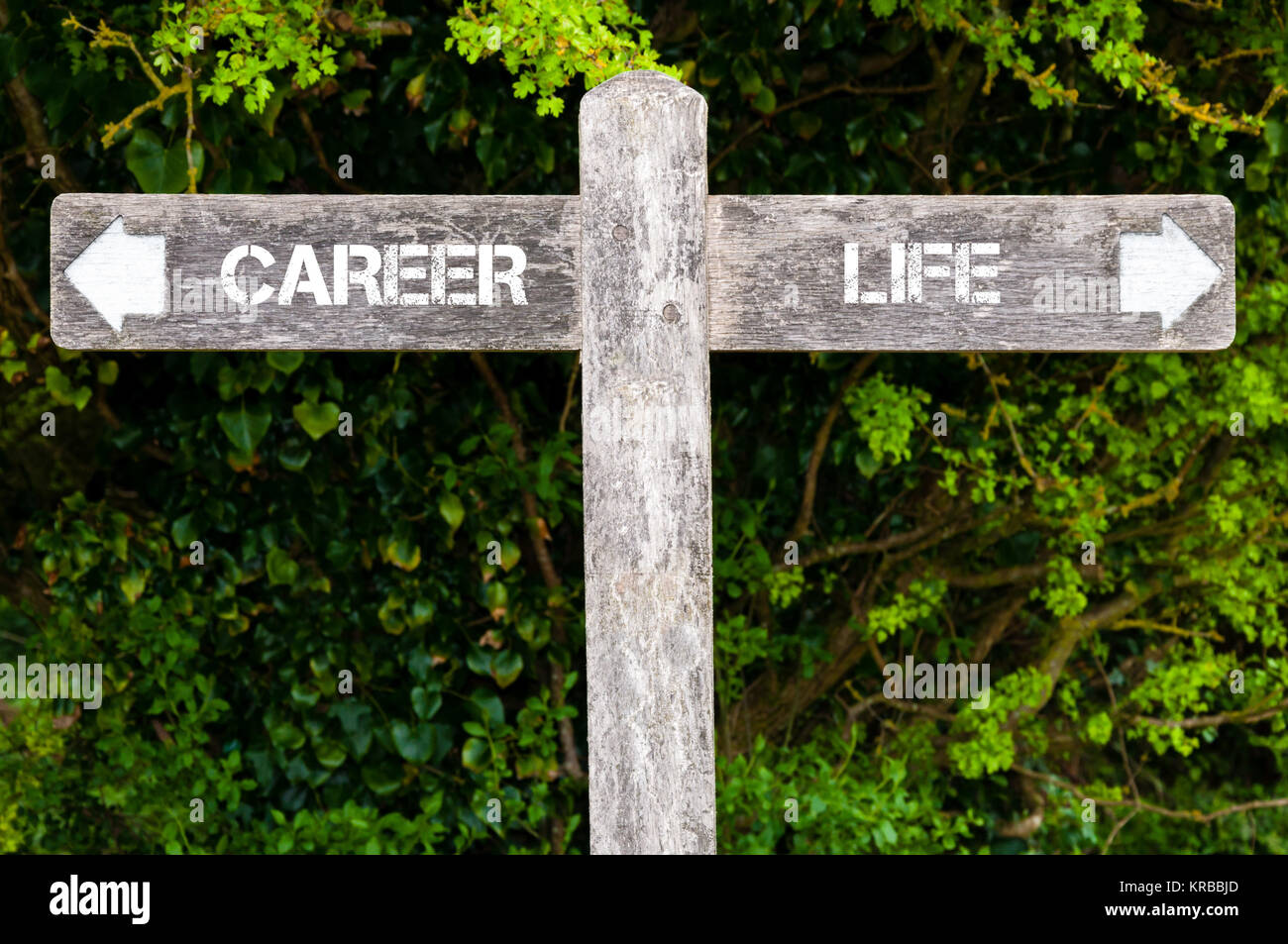 CAREER versus LIFE directional signs Stock Photo - Alamy