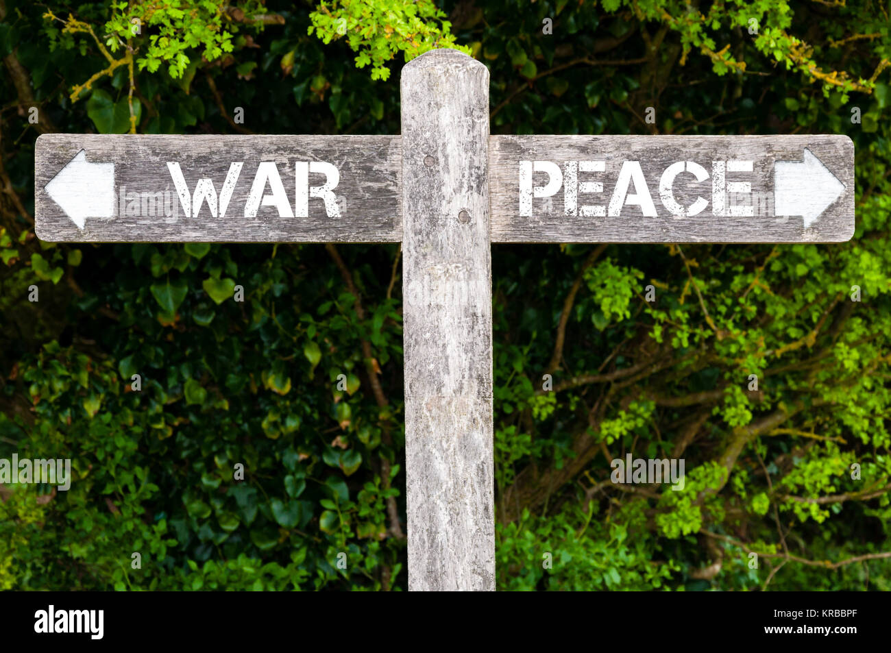 WAR versus PEACE directional signs Stock Photo - Alamy