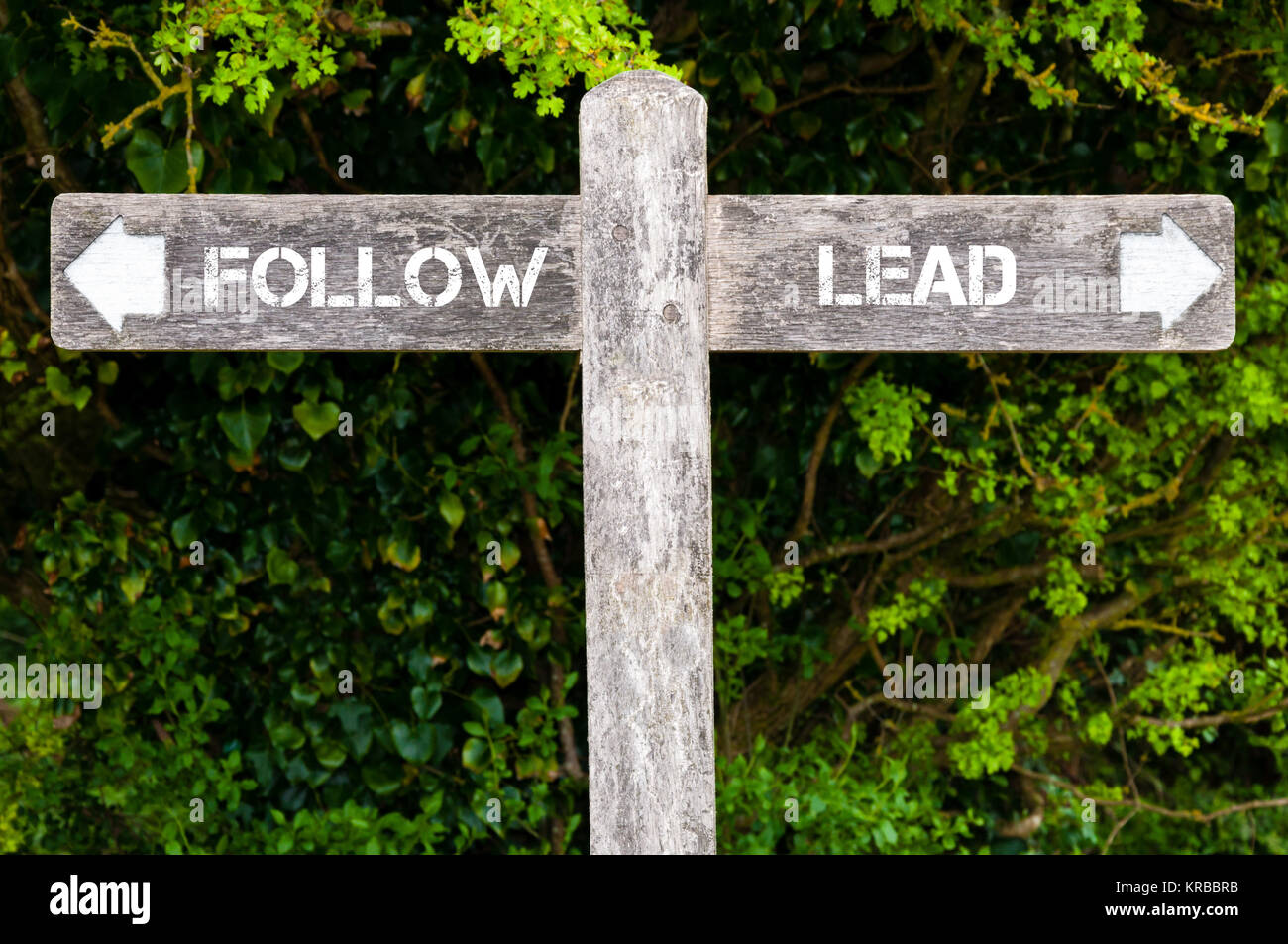 FOLLOW versus LEAD directional signs Stock Photo - Alamy