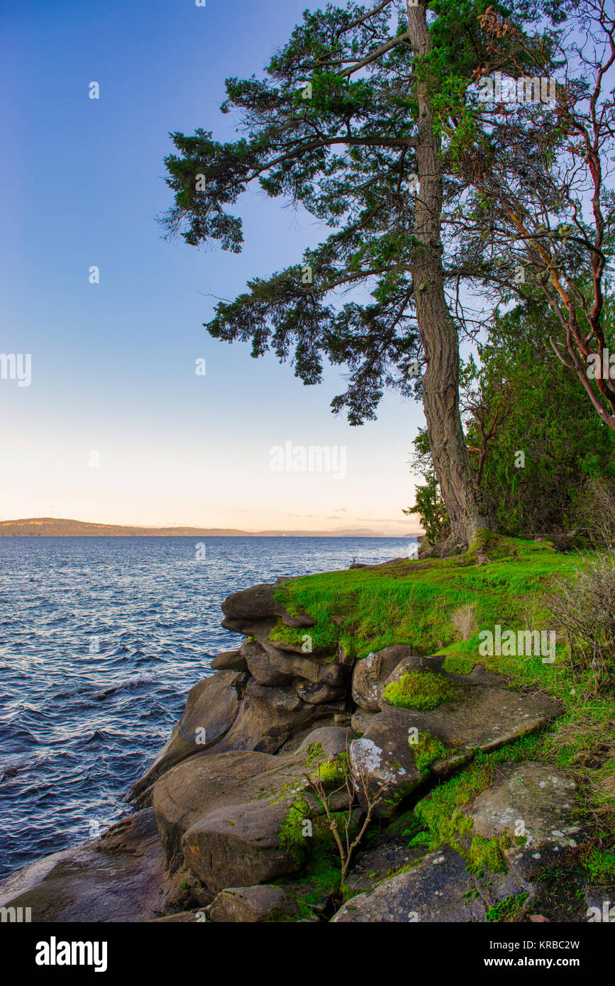 Scenic sunset view of the ocean overlooking the Strait of Georgia from ...