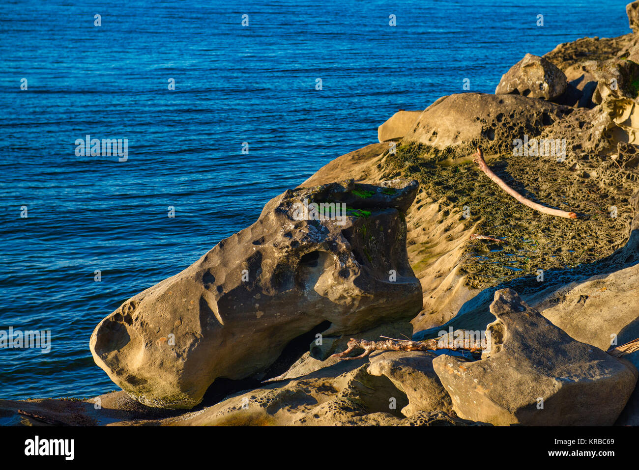 Detail of rock formation and the ocean seen from Jack Point and Biggs ...