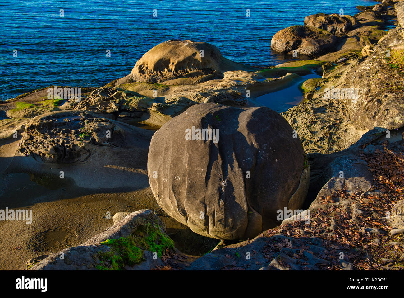 Detail of rock formation and the ocean seen from Jack Point and Biggs ...