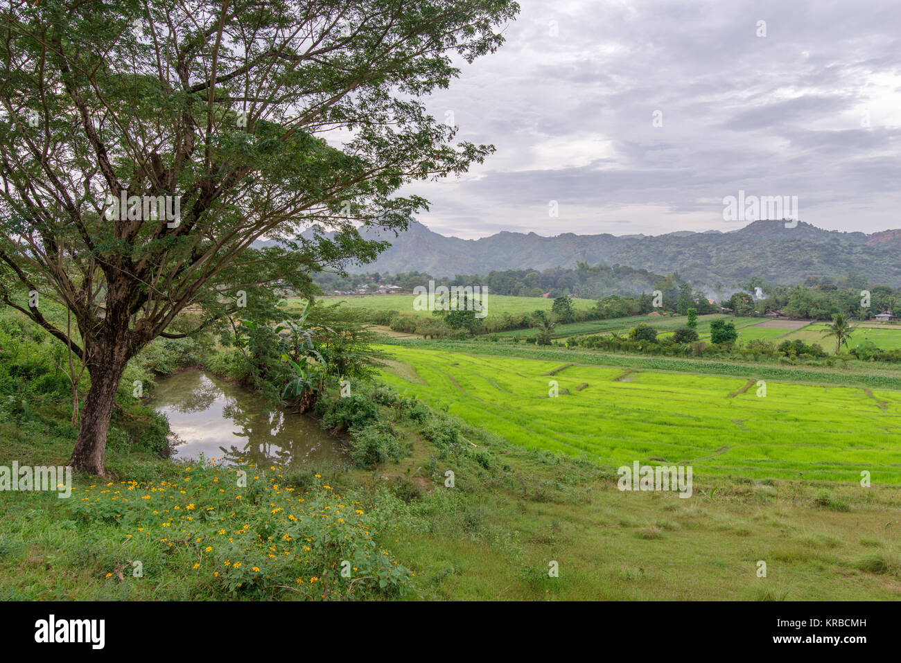 Capas hi-res stock photography and images - Alamy