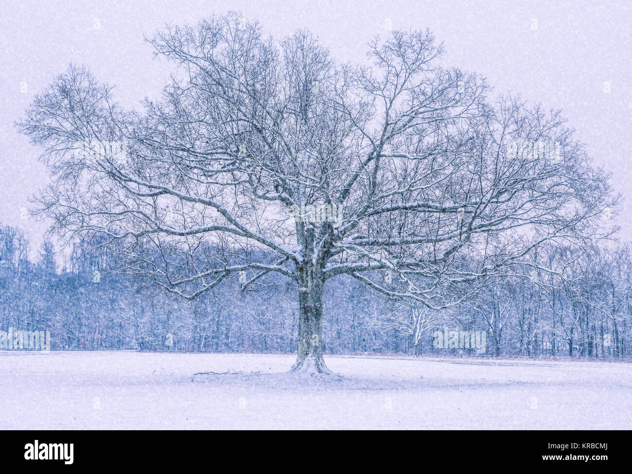 Relaxing snow falling hi-res stock photography and images - Alamy