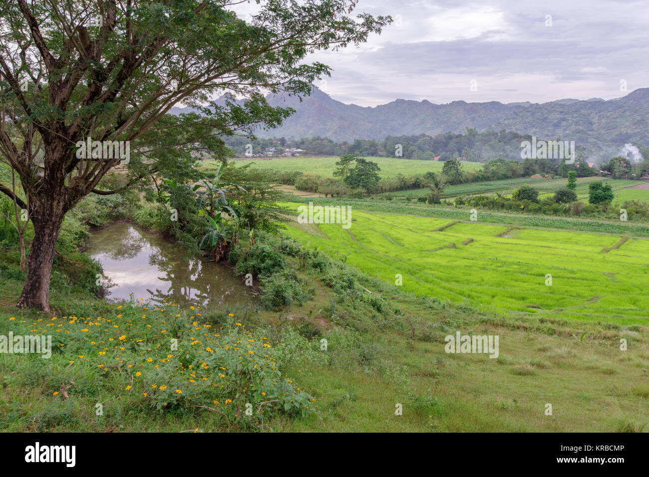 Capas hi-res stock photography and images - Alamy