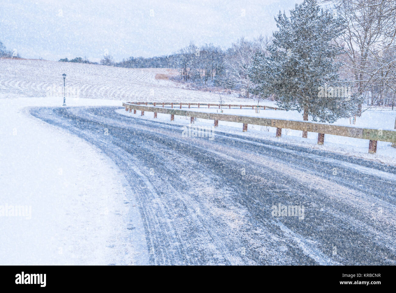 Snow falling in the woods hi-res stock photography and images - Alamy