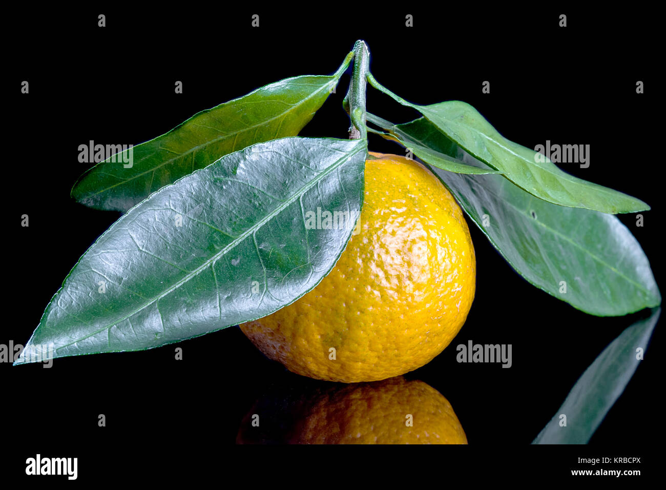 Mandarin with green leaves on black Stock Photo - Alamy