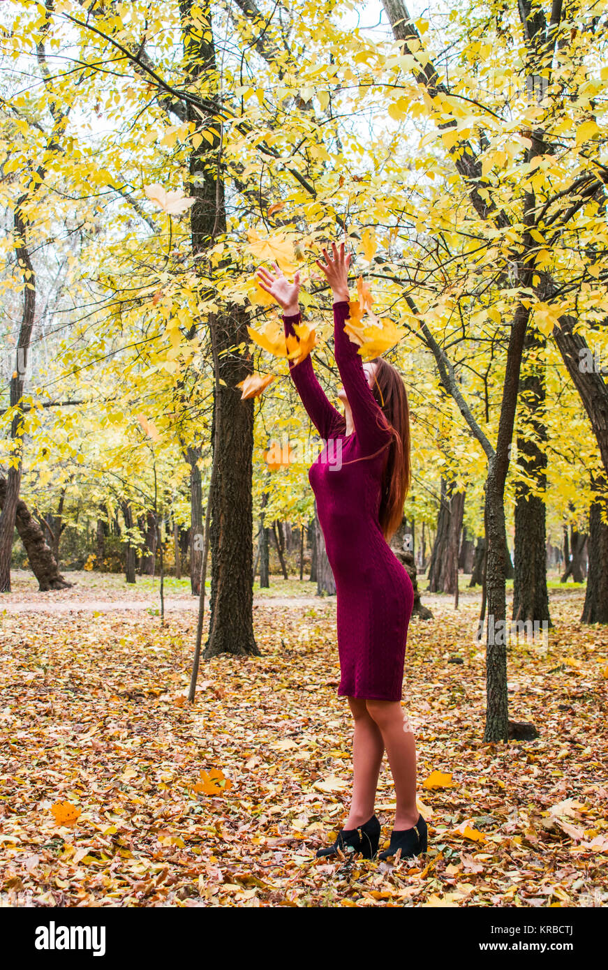 A woman throws a leaf in the park in autumn. A very happy woman Stock ...
