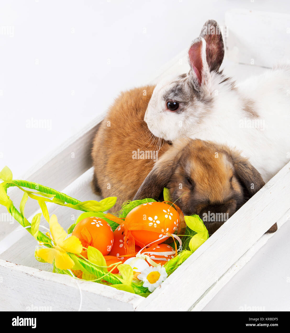 rabbits and easter basket Stock Photo - Alamy