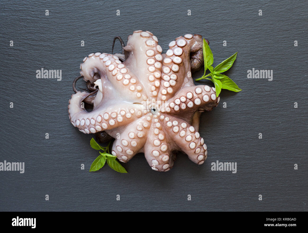 Raw octopus with basil Stock Photo - Alamy