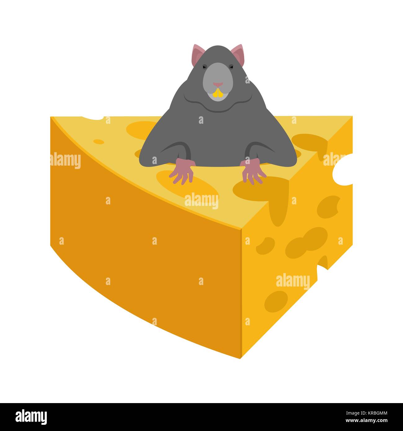 Mouse and cheese. Rodent vector Illustration Stock Vector Image & Art ...