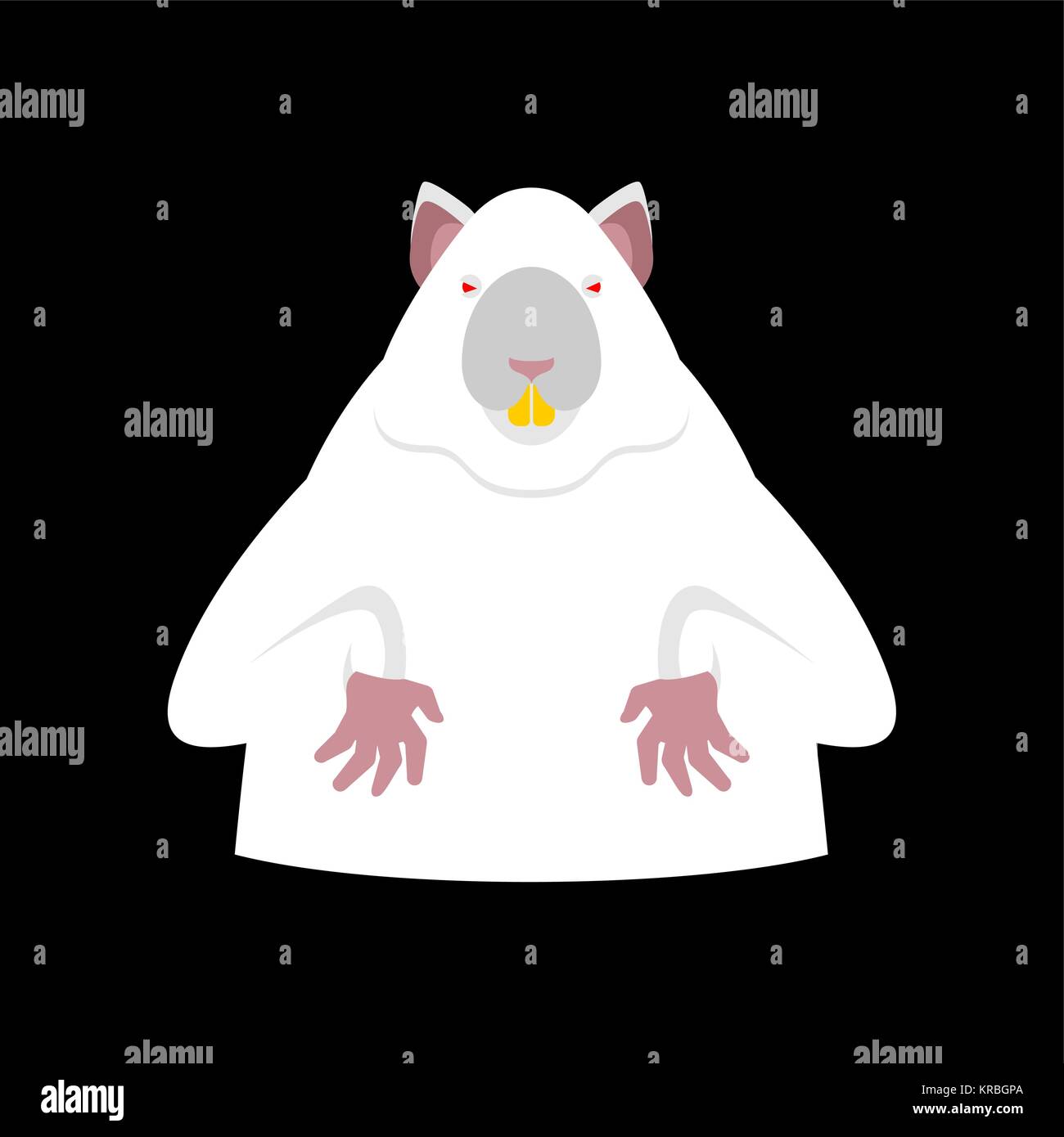 Laboratory mouse is white. Red eyes. Rat for experiments. Experimental ...