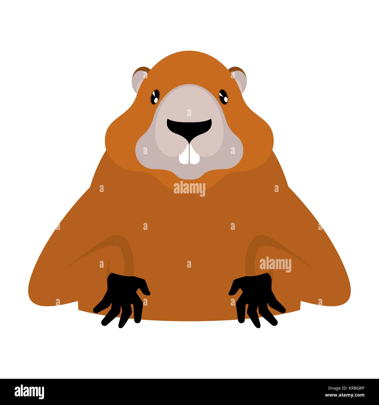Groundhog Marmot portrait isolated. Wild Rodent head. Illustration for ...