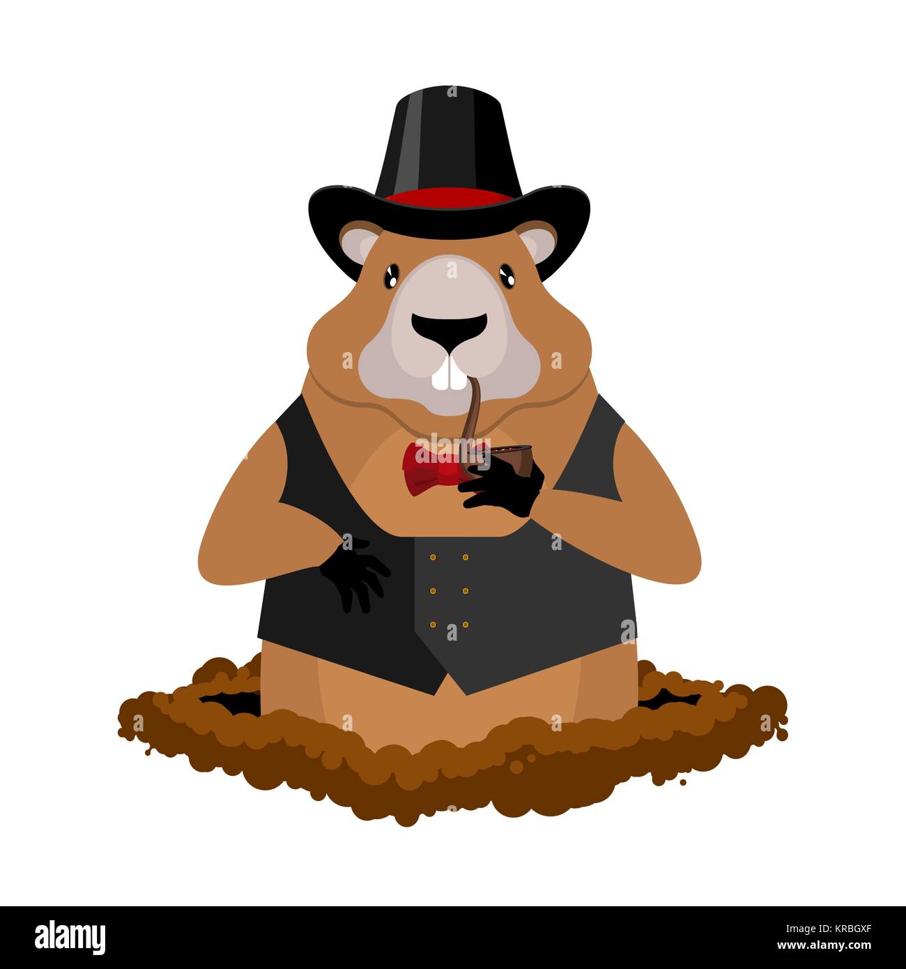 Squirrel burrow illustration Stock Vector Images - Alamy