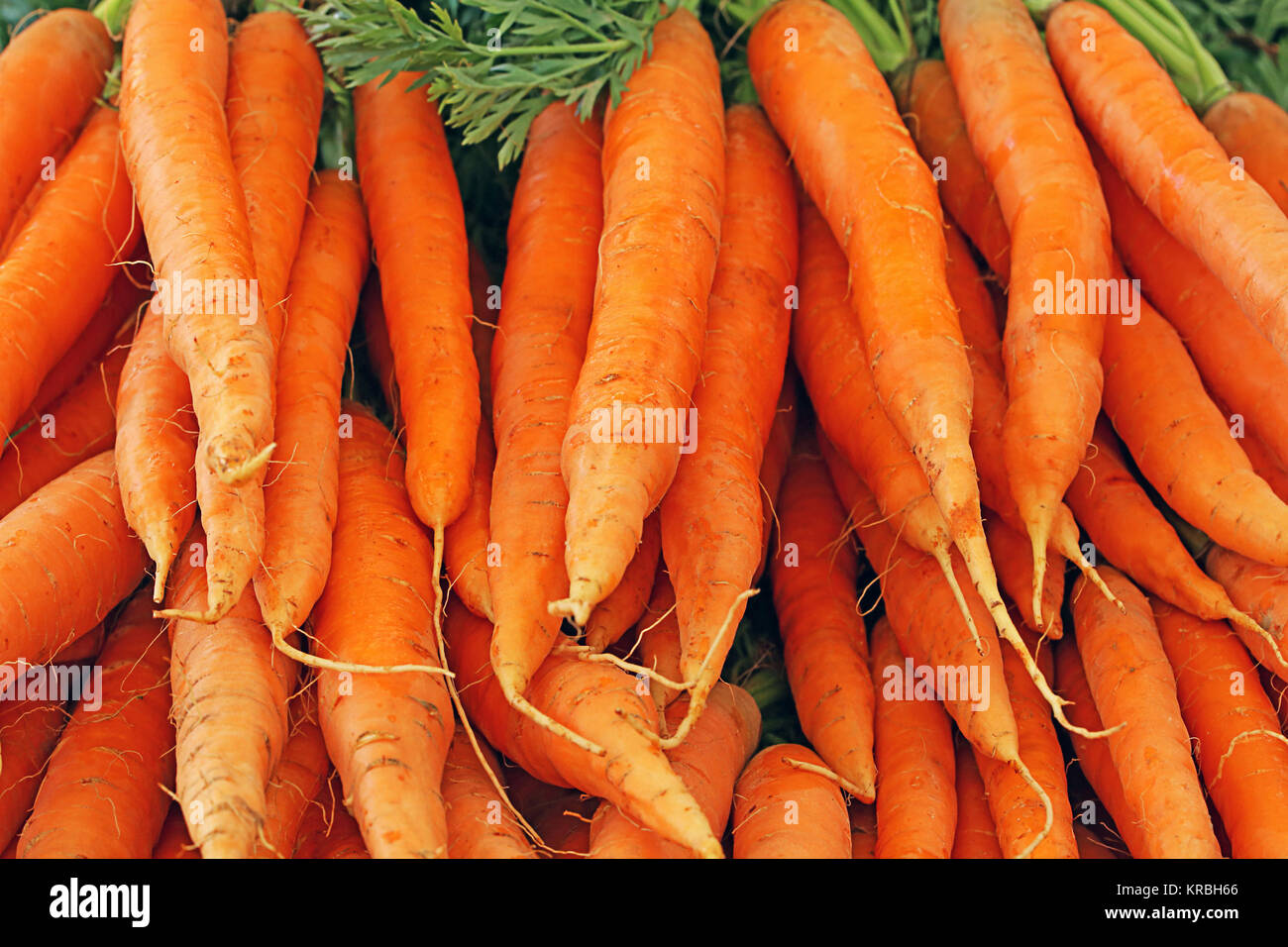 bundle of carrots at the farmers market Stock Photo - Alamy