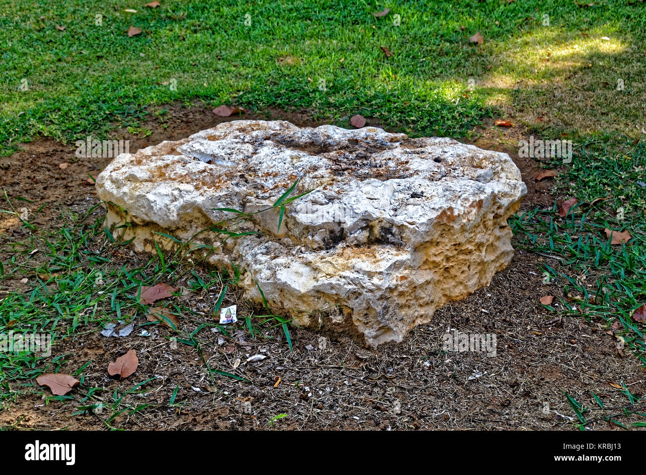 white and brown boulder with black stains on green and dry grass. and ...