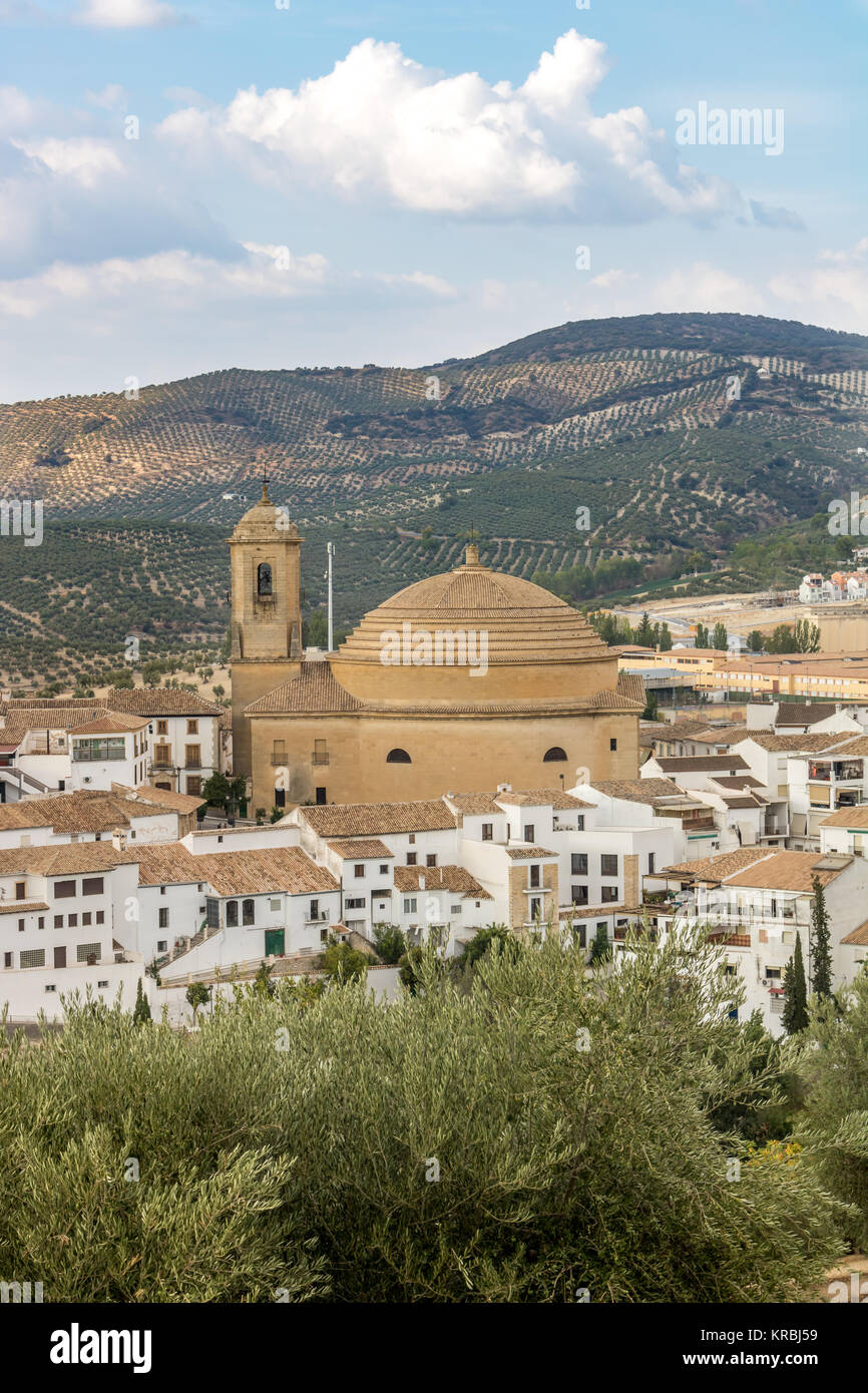 Beautiful ancient olive trees hi-res stock photography and images - Alamy