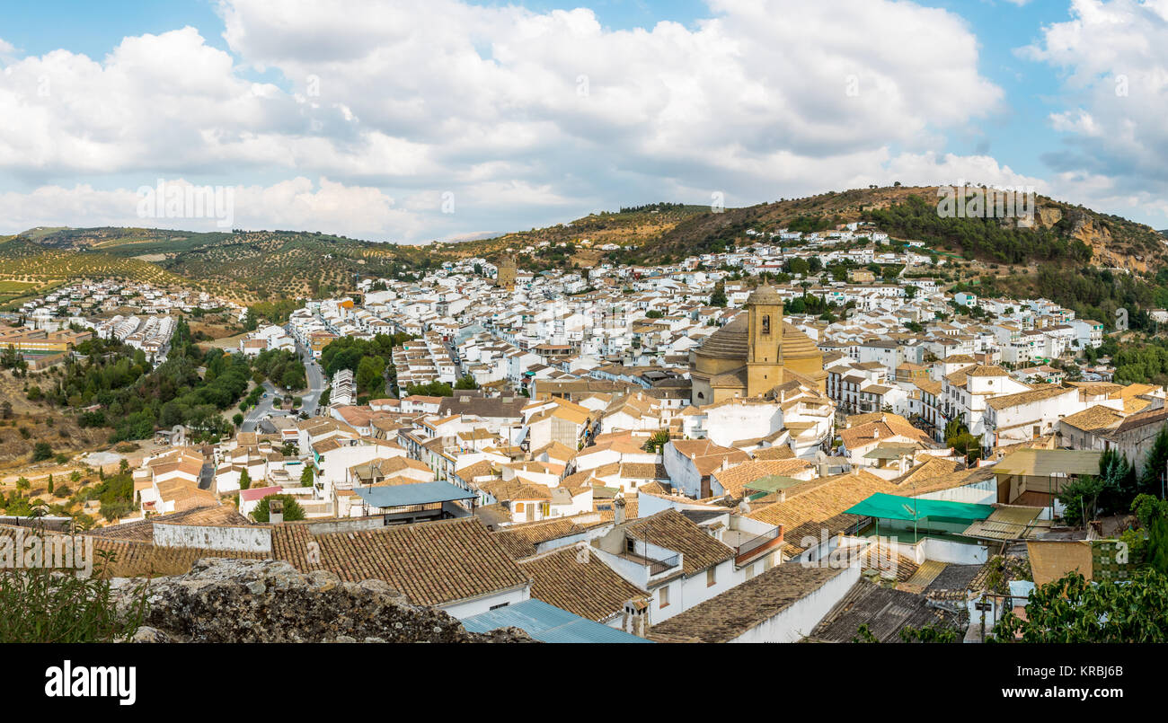 Beautiful ancient olive trees hi-res stock photography and images - Alamy