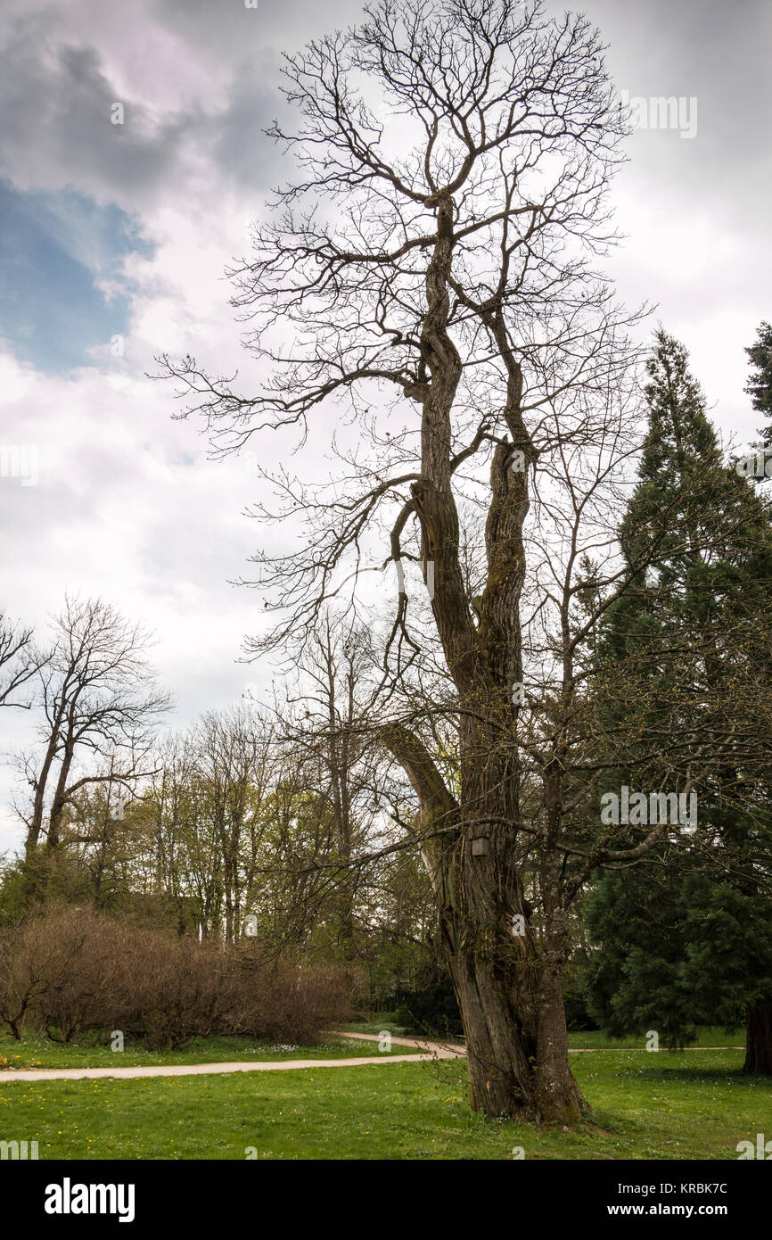 High age hi-res stock photography and images - Alamy