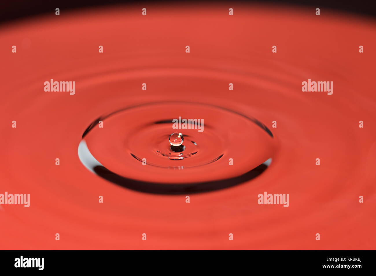 Closeup of falling water drop in red Stock Photo - Alamy
