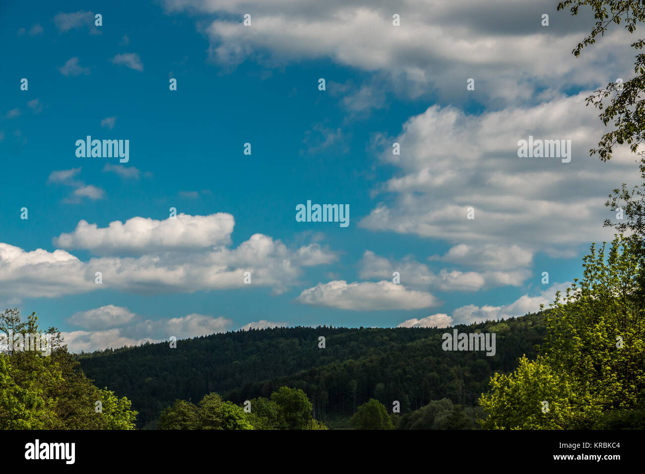 Landscape view out of the forest with green fields Stock Photo - Alamy
