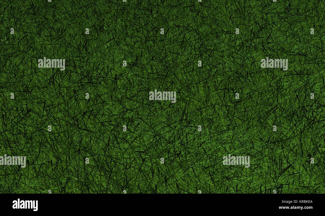 Green grass - Computer Art 3D Series Stock Photo - Alamy