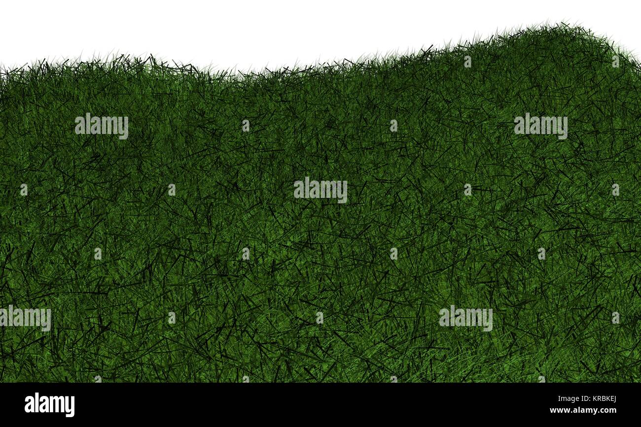 Green grass - Computer Art 3D Series Stock Photo - Alamy