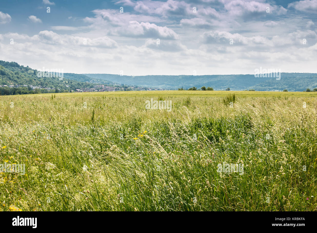 Big fields hi-res stock photography and images - Alamy