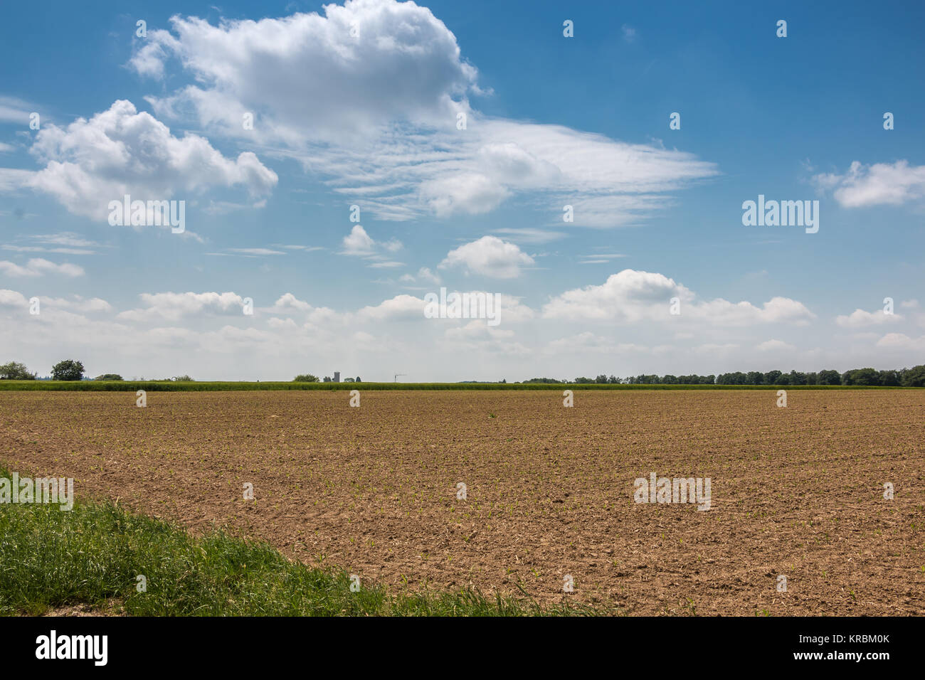 Forest soil life hi-res stock photography and images - Alamy