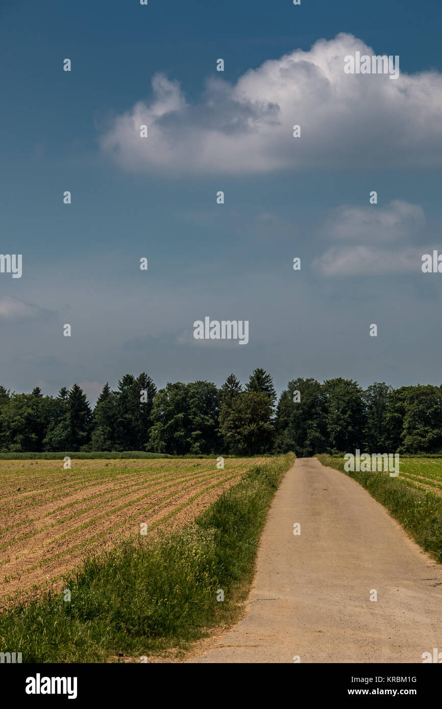 Forest soil life hi-res stock photography and images - Alamy